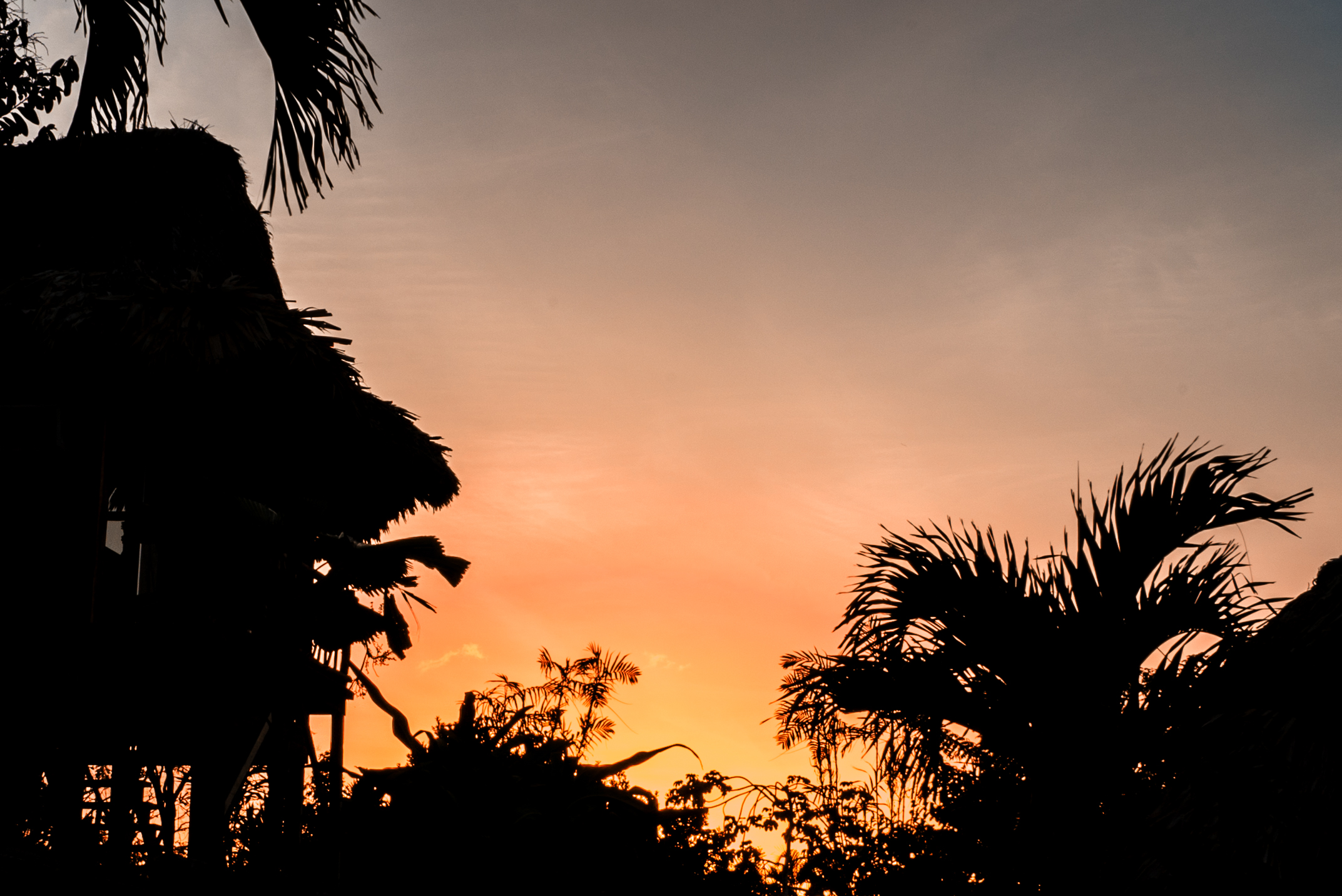 Belize: Rainforest, Reef and Maya Ruins Vacations