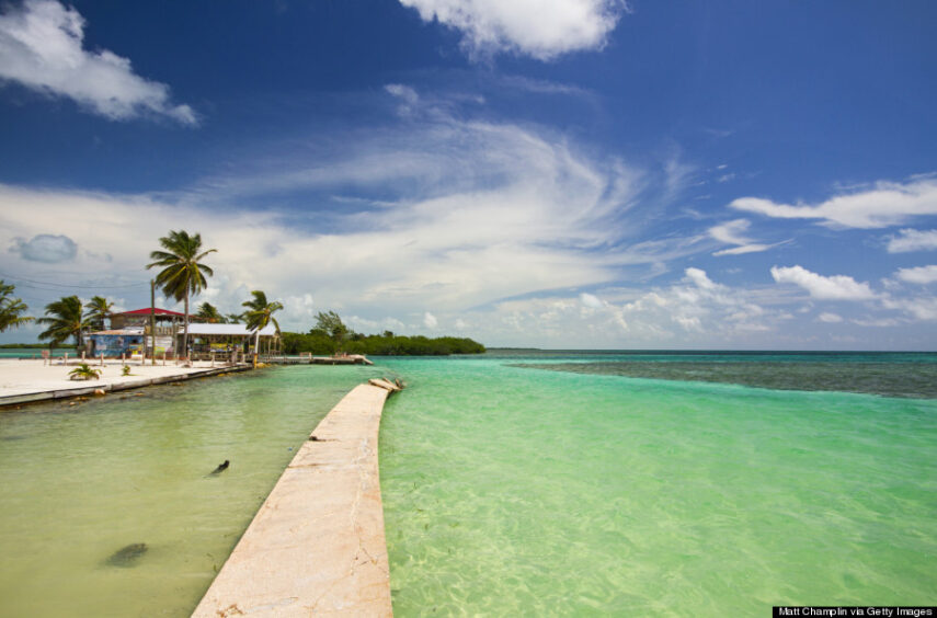 It’s Easy Being Green When You Summer in Belize!