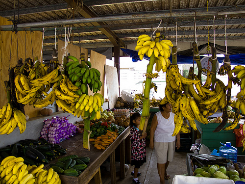 Photo of the day: San Ignacio Market