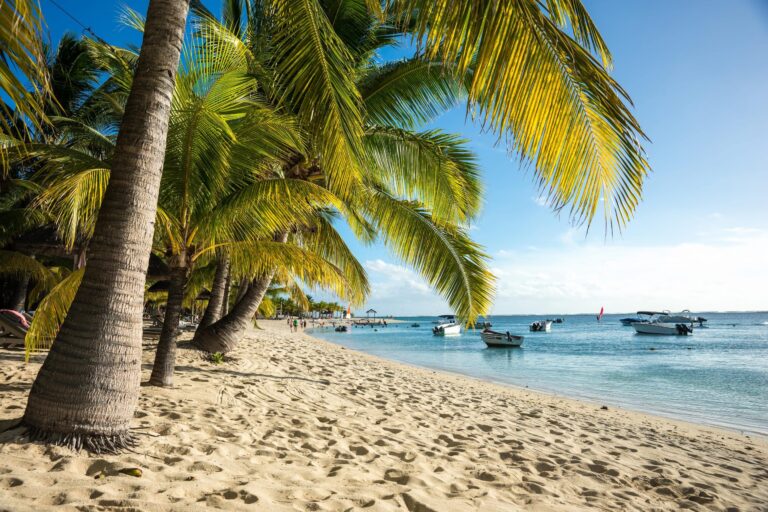 Make Your Winter Rock In Belize | Warm Up This Winter in Belize